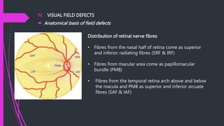 primaary open angle glaucoma presentation | PPTX