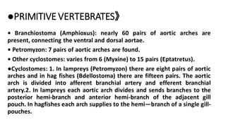 EVOLUTION OF AORTIC ARCHES IN VERTEBRATES | PDF