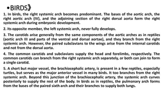 EVOLUTION OF AORTIC ARCHES IN VERTEBRATES | PDF