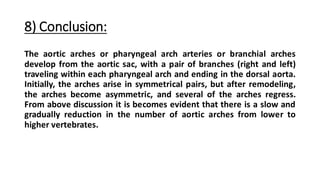 EVOLUTION OF AORTIC ARCHES IN VERTEBRATES | PDF