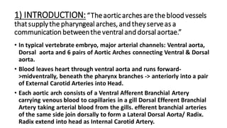 EVOLUTION OF AORTIC ARCHES IN VERTEBRATES | PDF