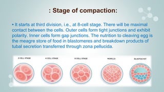 DOC-20230926-WA0006..pptx to the same team | PPT