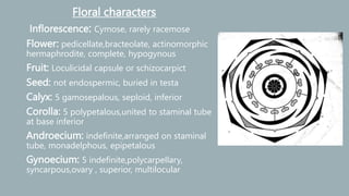 Family malvacea | PPTX