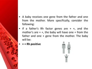 RH blood group system | PPTX