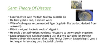 Robert koch the well known scientist who had done great work towards ...