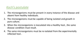 Robert koch the well known scientist who had done great work towards ...