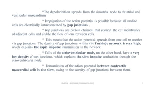 Electrophysiology of cardiac muscle | PDF