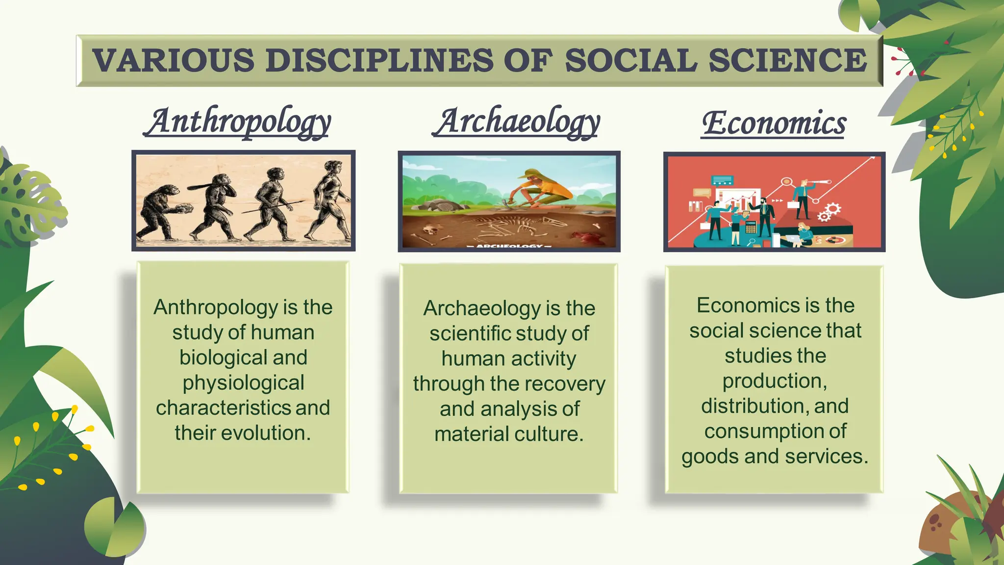 Social Science as an area of study | PDF | Education