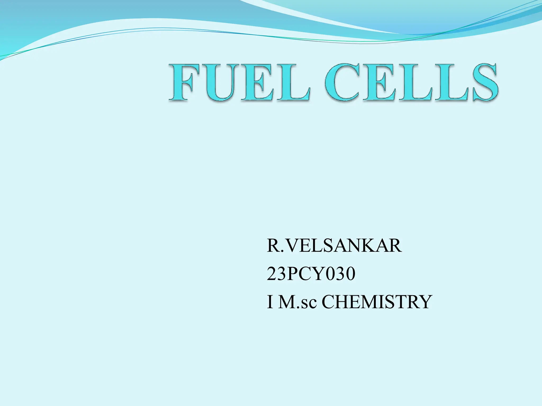 FUEL CELLS | PDF