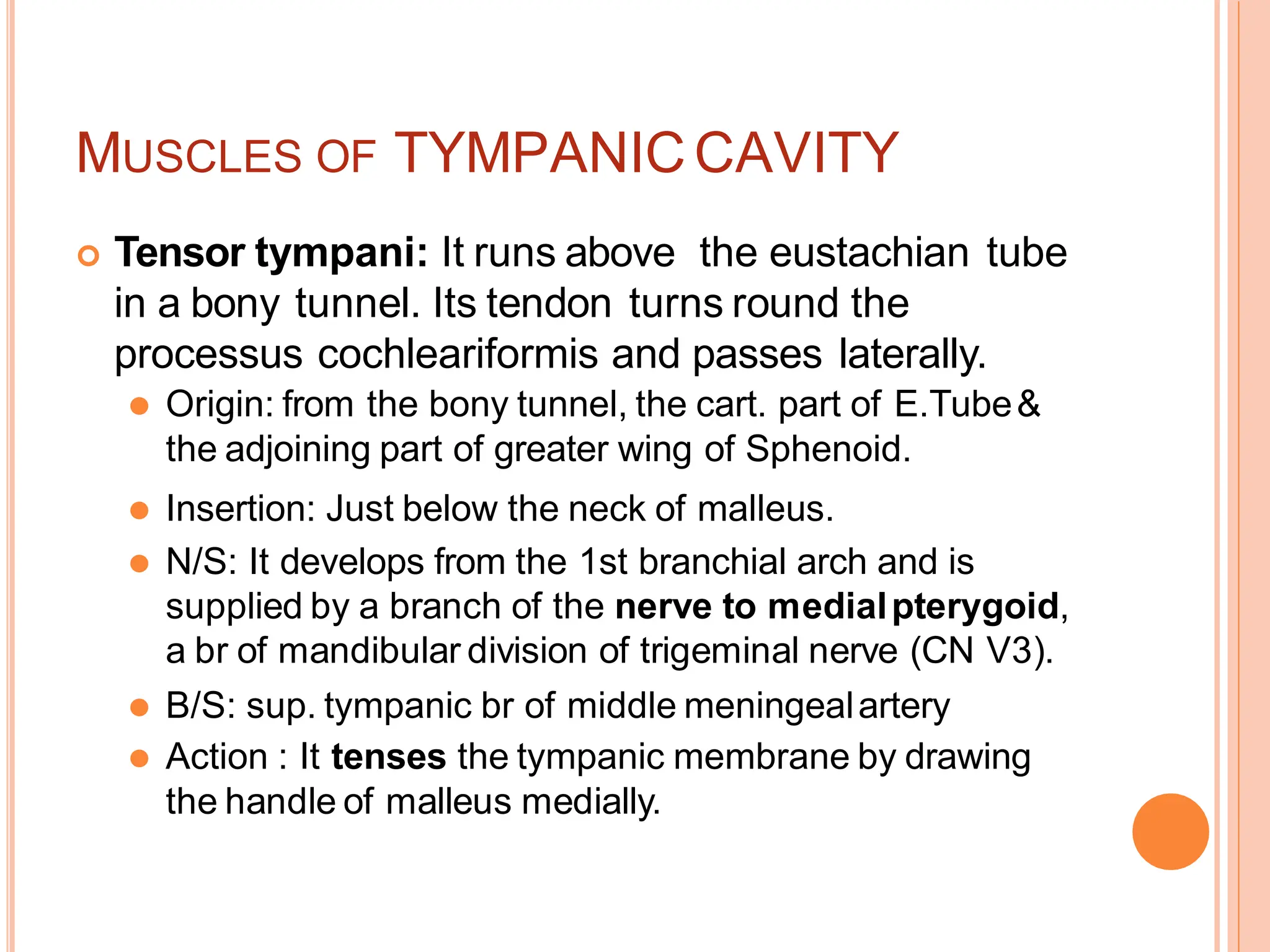 anatomy and embrology of middle and inner ear | PPTX