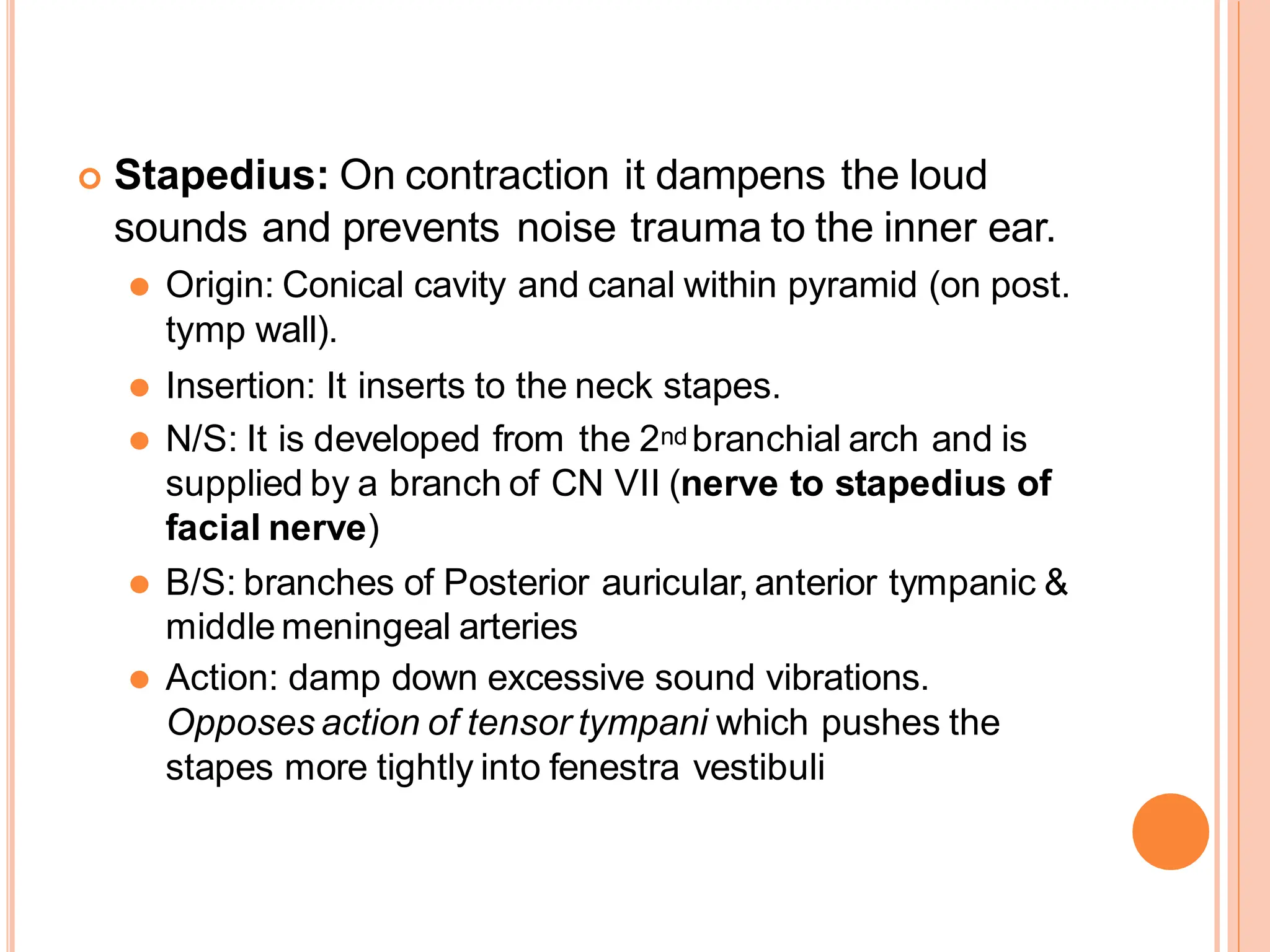 anatomy and embrology of middle and inner ear | PPTX