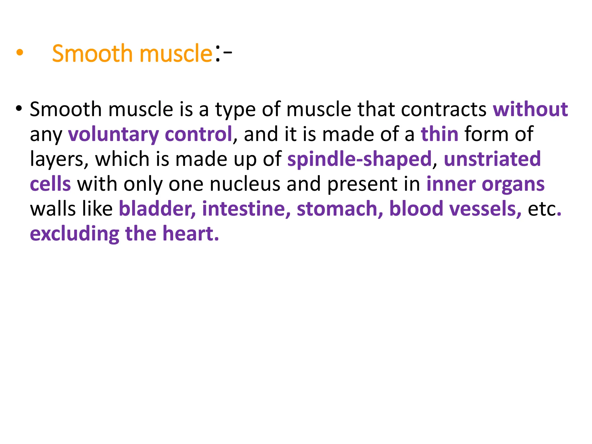 Presentation on Muscle very easy and short.pptx