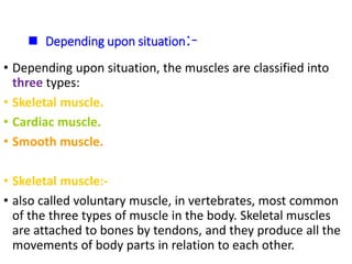 Presentation on Muscle very easy and short.pptx