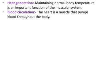 Presentation on Muscle very easy and short.pptx