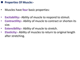 Presentation on Muscle very easy and short.pptx