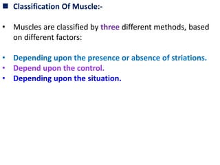 Presentation on Muscle very easy and short.pptx
