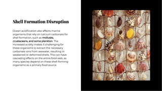 DOC-20231027-WA0010..pdf about ocean acidification in the whole world | PPT