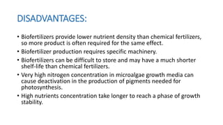 MICROALGAE AS BIOFERTILIZERS. pptx | PPTX