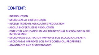 MICROALGAE AS BIOFERTILIZERS. pptx | PPTX