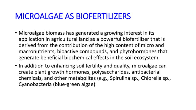 MICROALGAE AS BIOFERTILIZERS. pptx | PPTX | Agriculture | Industries