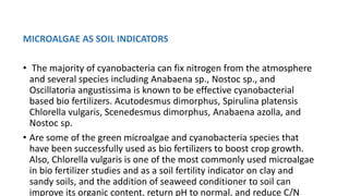 MICROALGAE AS BIOFERTILIZERS. pptx | PPTX