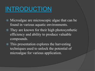Harvesting of microalgae biomass | PPT
