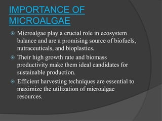 Harvesting of microalgae biomass | PPT