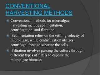 Harvesting of microalgae biomass | PPT