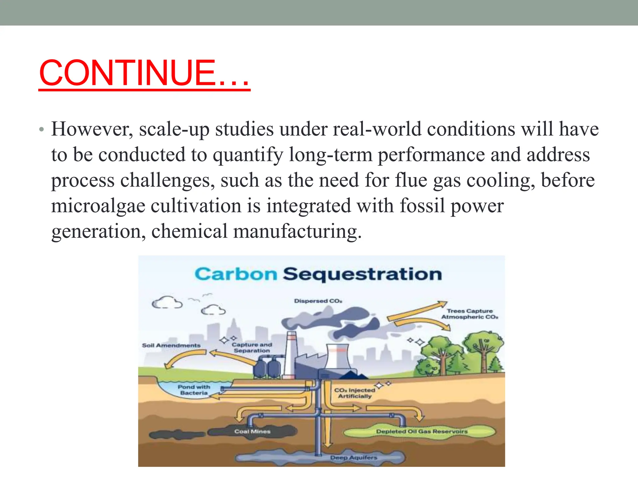 Microalgae Environmental Application | PPTX