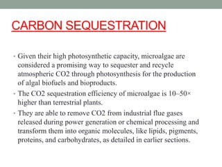 Microalgae Environmental Application | PPTX