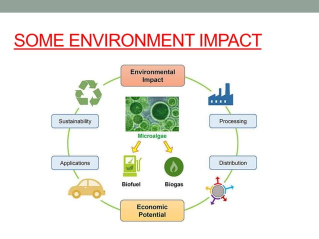 Microalgae Environmental Application | PPTX | Environmental Services Industry | Industries