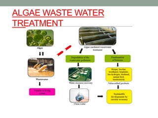 Microalgae Environmental Application | PPTX