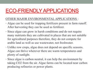 Microalgae Environmental Application | PPTX