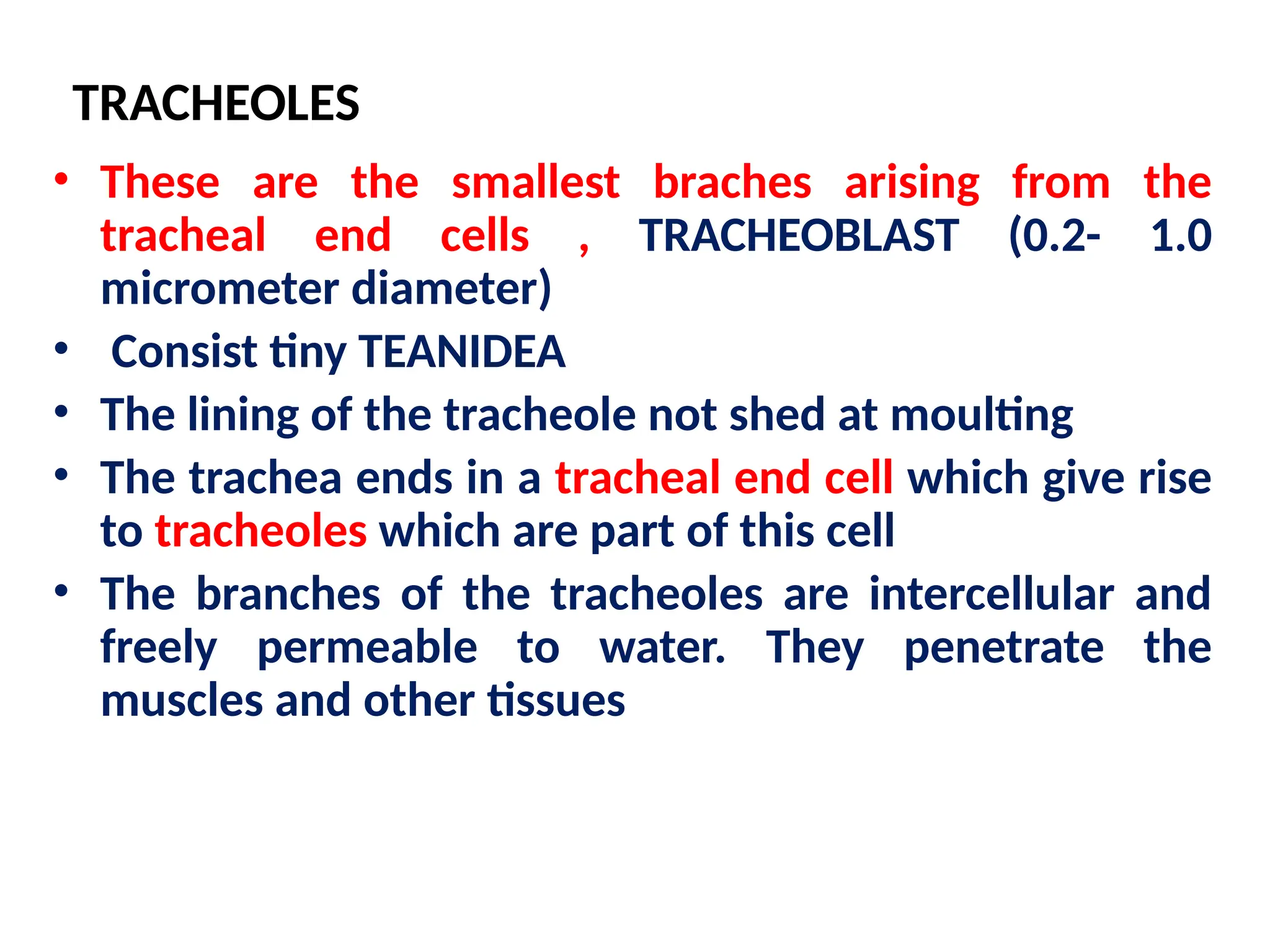 DOC-20231113-WA0003..pptx respiratory system | PPTX