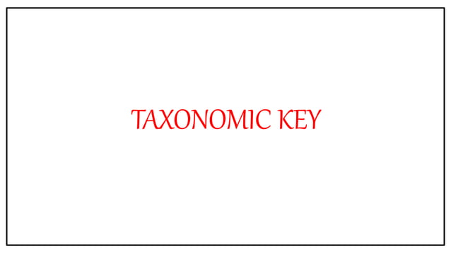Taxonomic keys and. Their types. .pptx