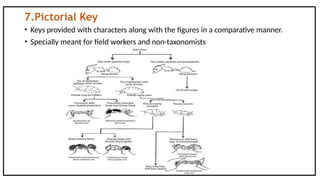 Taxonomic keys and. Their types. .pptx