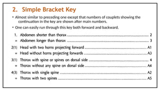 Taxonomic keys and. Their types. .pptx
