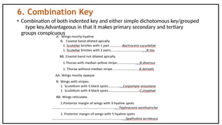 Taxonomic keys and. Their types. .pptx