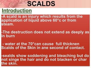 Burns and scalds power point presentation.pptx
