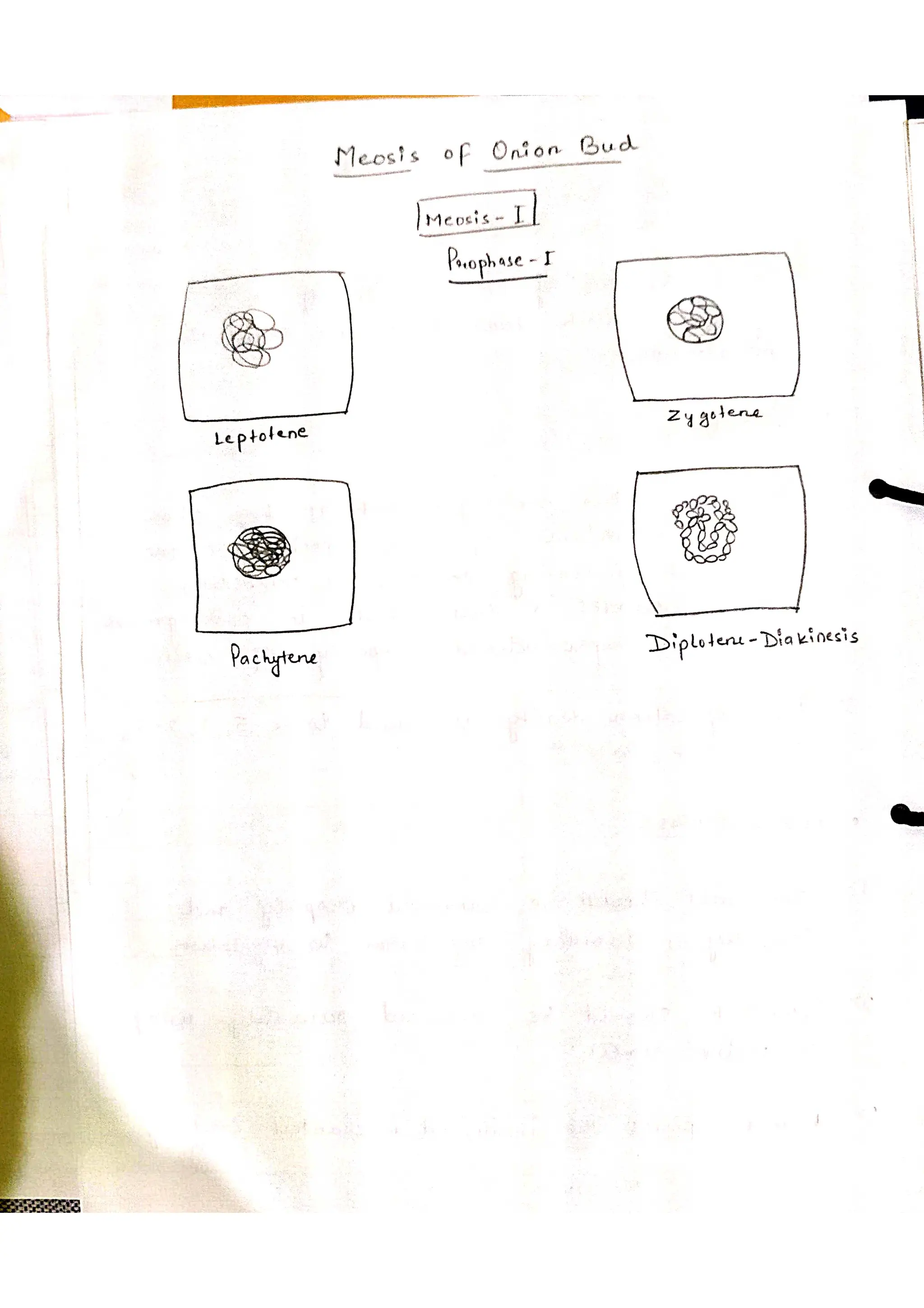 Biology practical 12 all experment and spotting.pdf