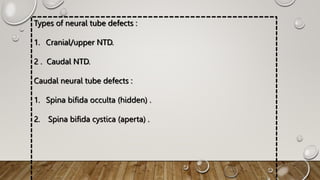 Neural tube defect | PPTX