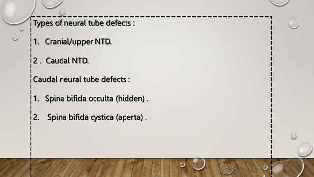Neural tube defect | PPT