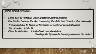 Neural tube defect | PPTX