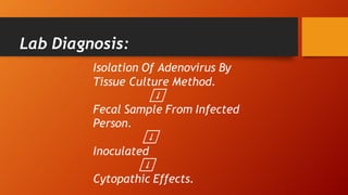 Adenovirus | PDF