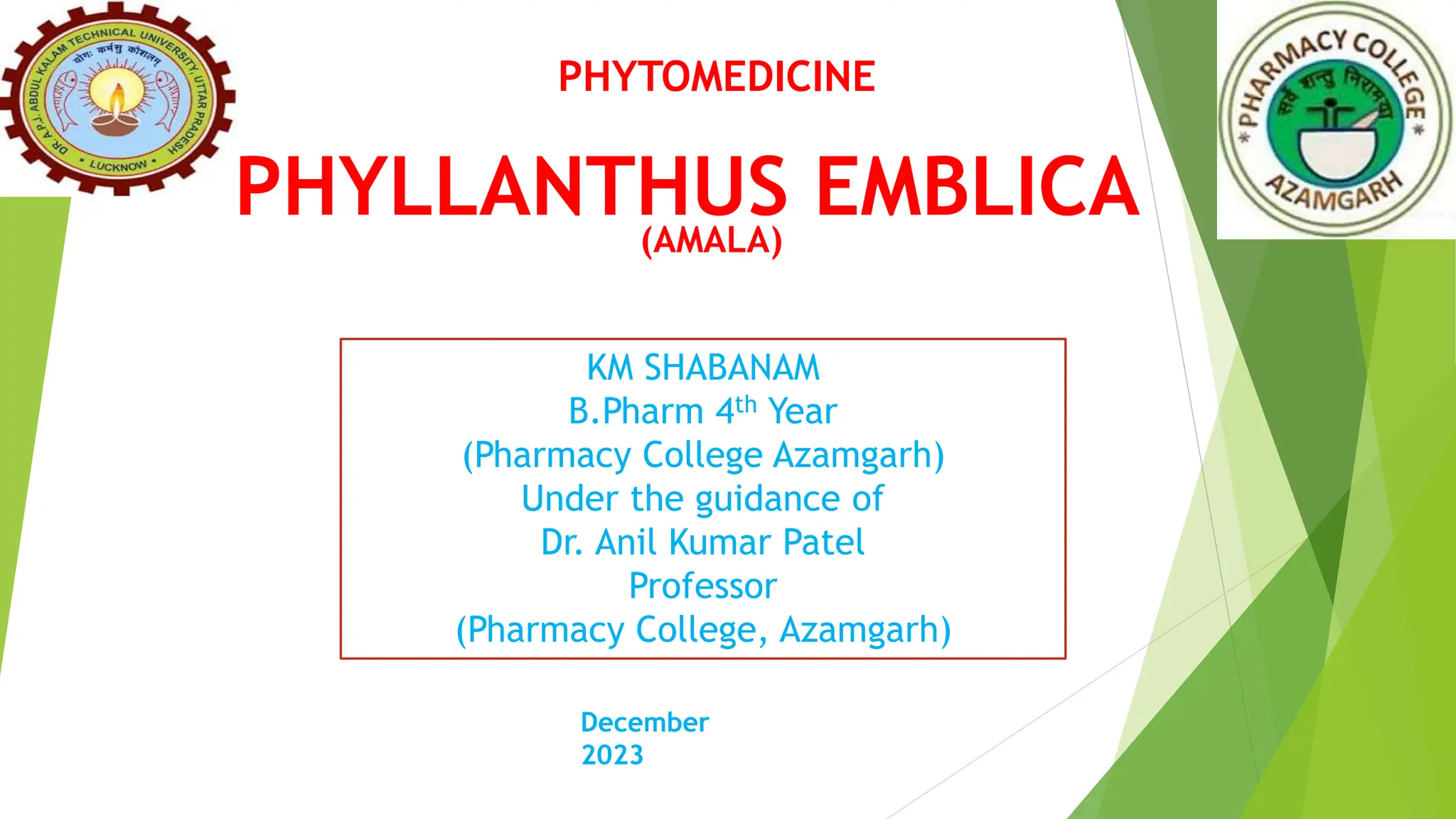 Phyllanthus Emblica (AMALA)..pptx