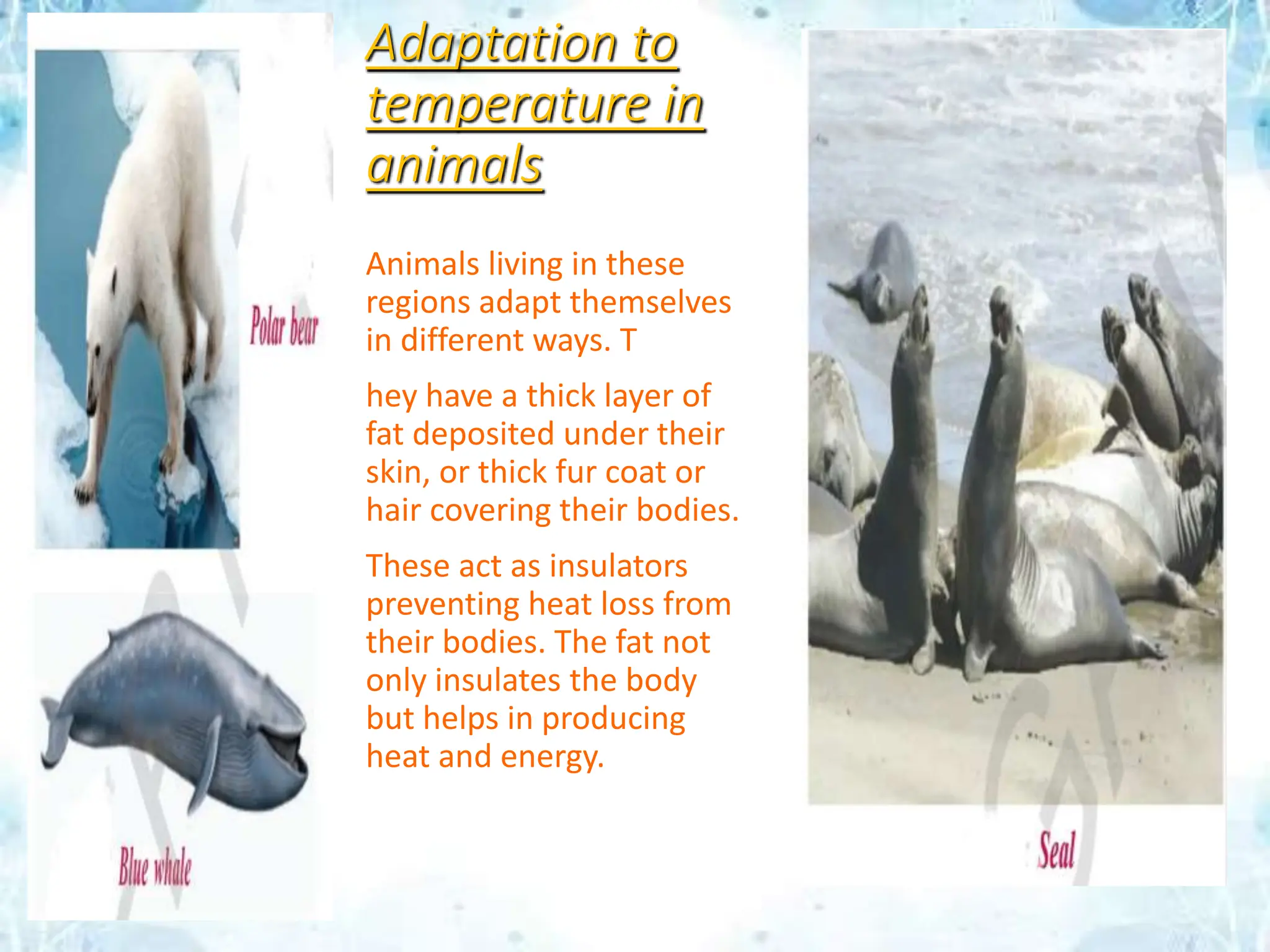 ADAPTATION OF LIVING ORGANISMS TO DIFFERENT ECOSYSTEMS | PPTX