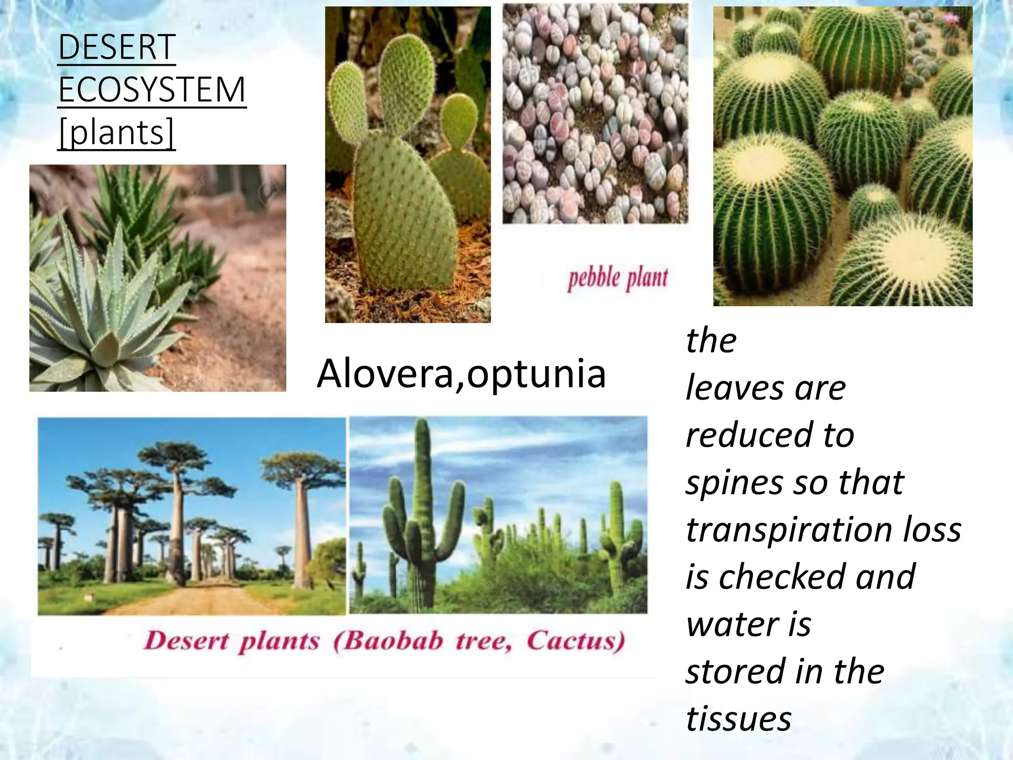 ADAPTATION OF LIVING ORGANISMS TO DIFFERENT ECOSYSTEMS | PPTX