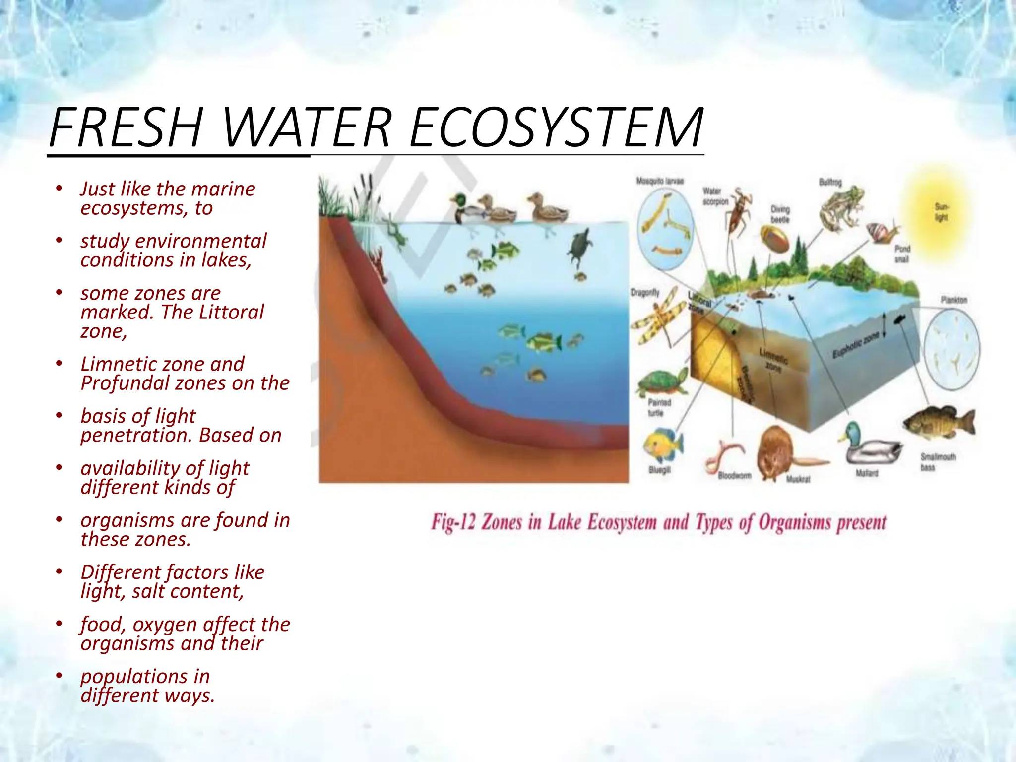 ADAPTATION OF LIVING ORGANISMS TO DIFFERENT ECOSYSTEMS | PPTX