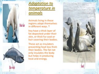 ADAPTATION OF LIVING ORGANISMS TO DIFFERENT ECOSYSTEMS | PPTX