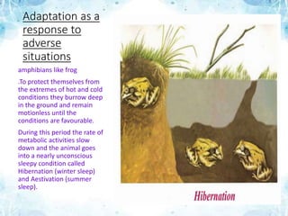 ADAPTATION OF LIVING ORGANISMS TO DIFFERENT ECOSYSTEMS | PPTX